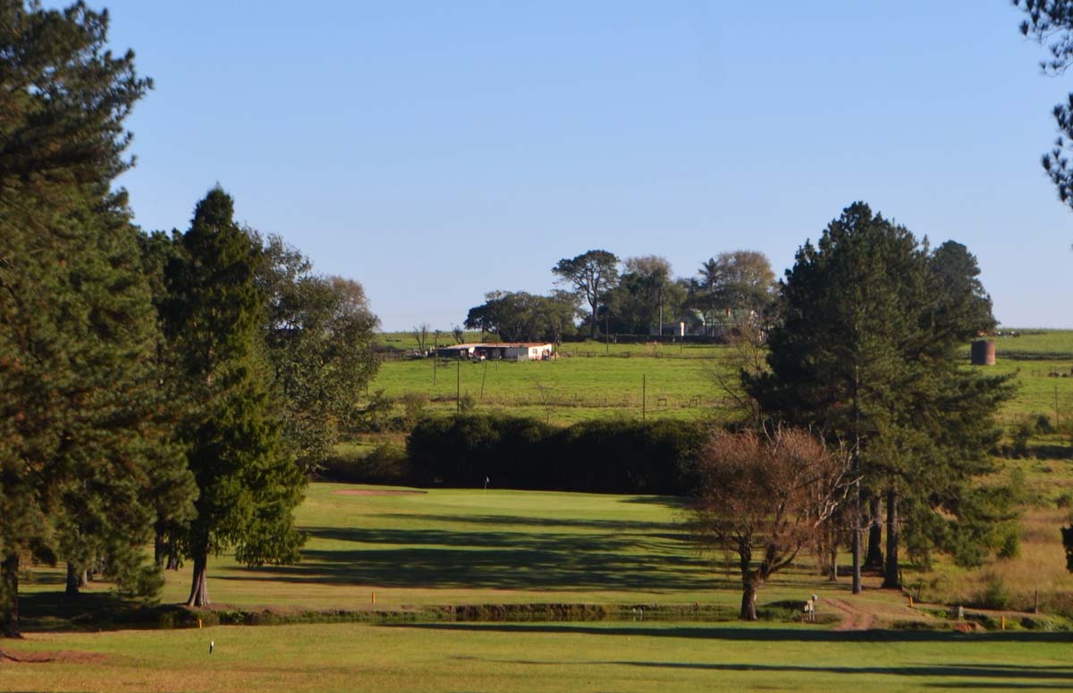 News - SA Top 100 Courses